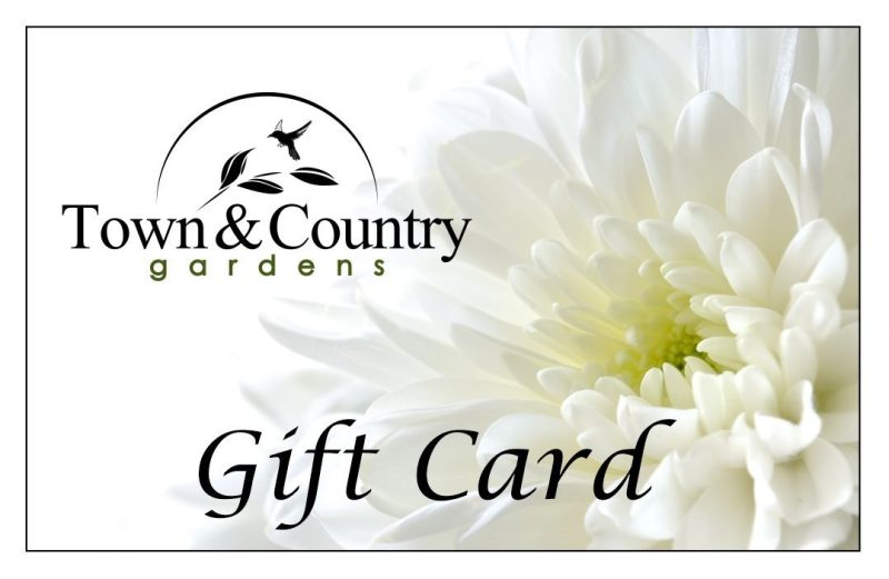 Gift Cards - Town and Country Gardens